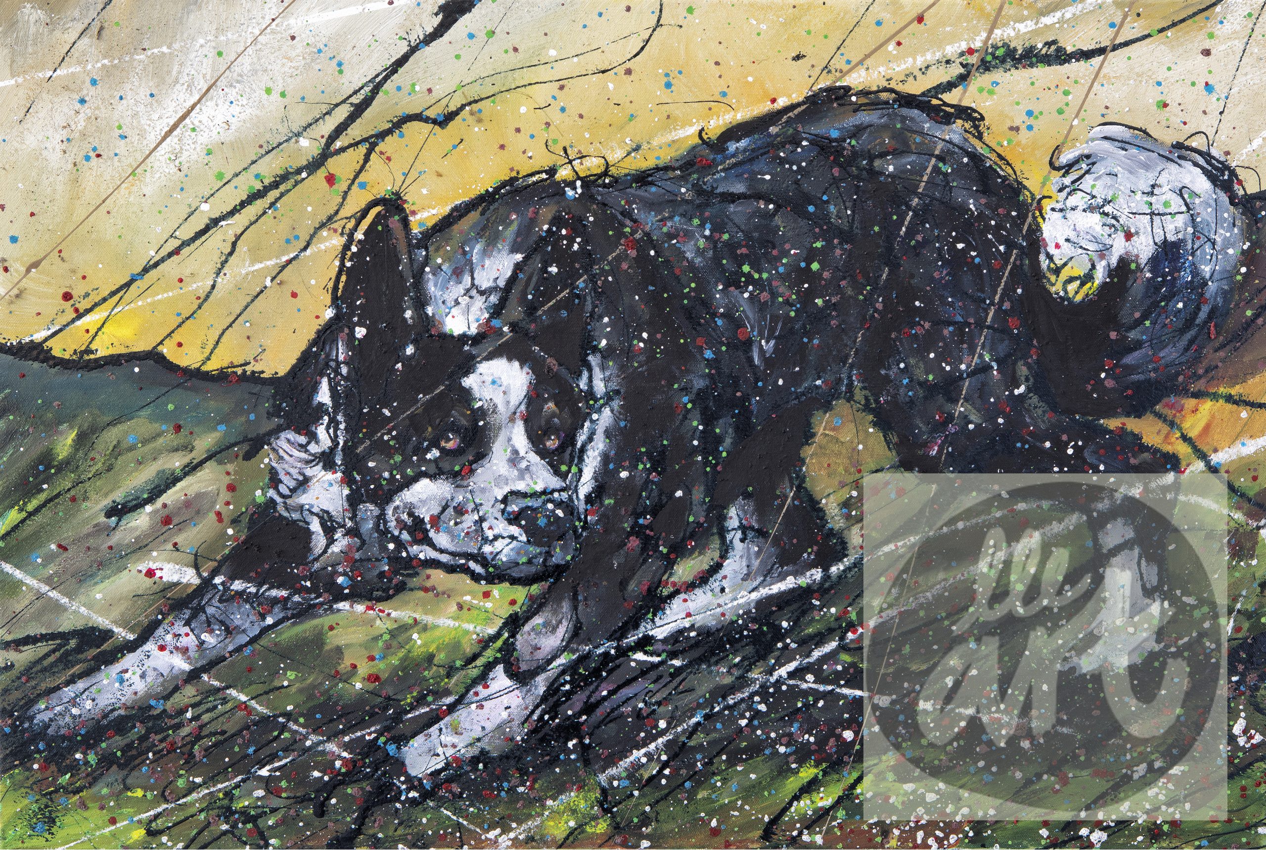 'Rambo' - Carys Bryn