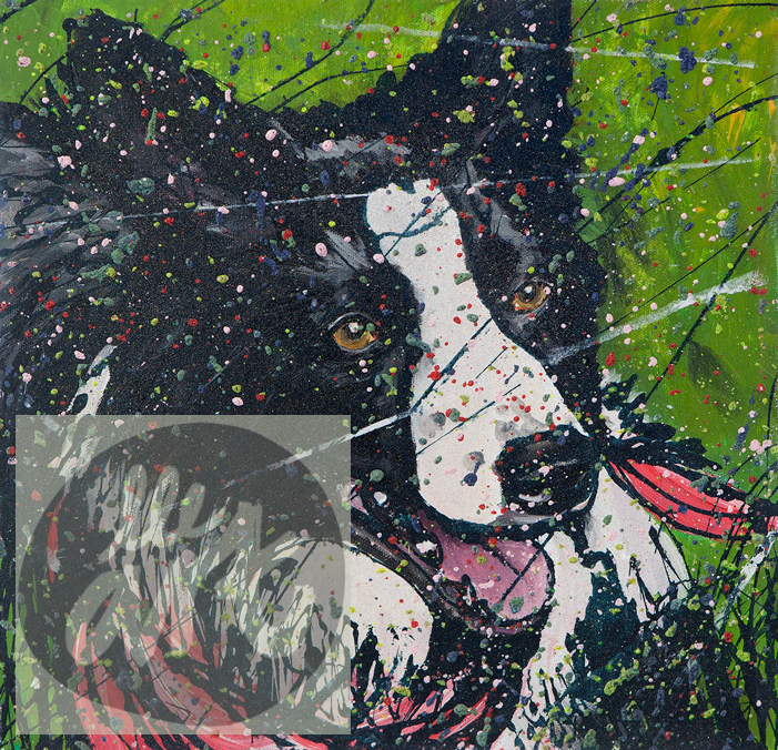 'Rambo' - Carys Bryn